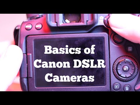 Canon DSLR Tutorial - YouTube