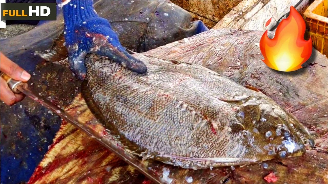 KASIMEDU 🔥SELVAM FISH CUTTING | BLACK AND WHITE NAAKU FISH CUTTING🐟 ...