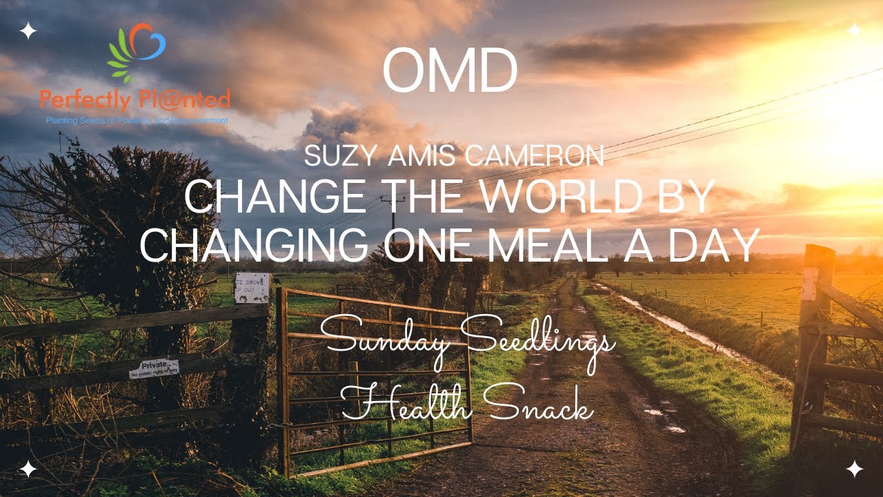 The OMD Plan - OMD for the Planet Book Review - YouTube