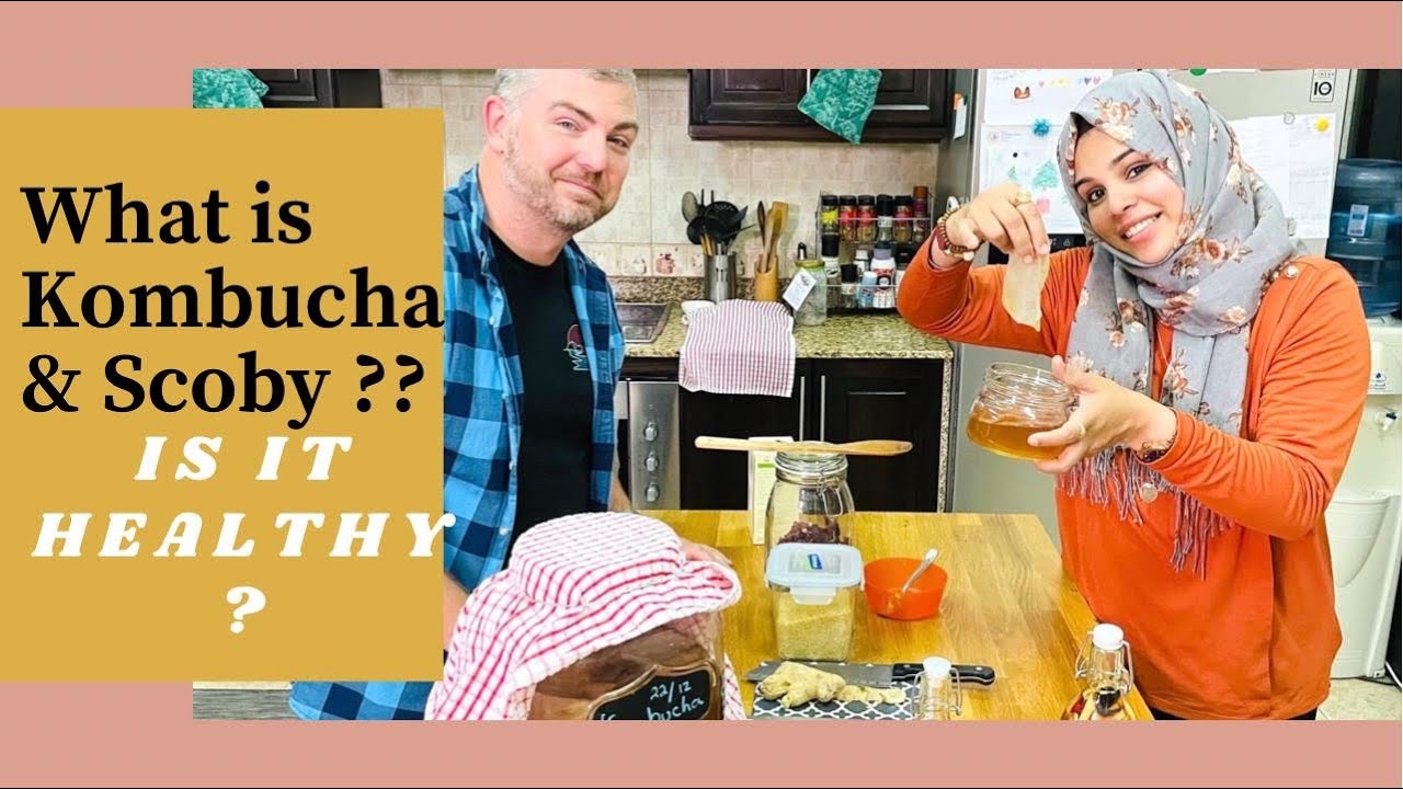 Kombucha & Scoby| Health Benefits|Scoby & Starter Kombucha - YouTube