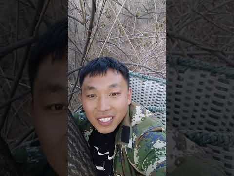 48. ASMR EATING MUKBANG FOOD, NATURAL FOOD