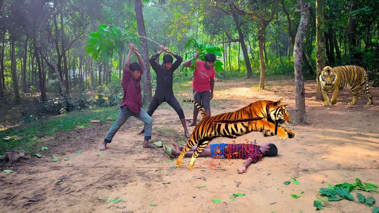 AKI:KI:TIGER. ATTACKING IN FOREST | Tha.ROYAL BENGAL TIGER. Ultimate ...