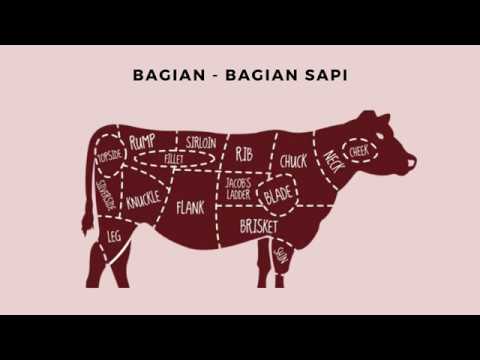 Bagian - Bagian Potongan Daging Sapi - YouTube