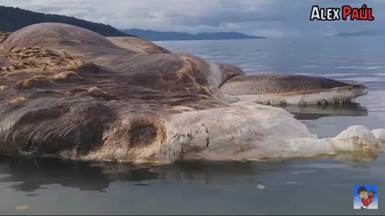 Cosas paranormales captadas por cámaras - YouTube