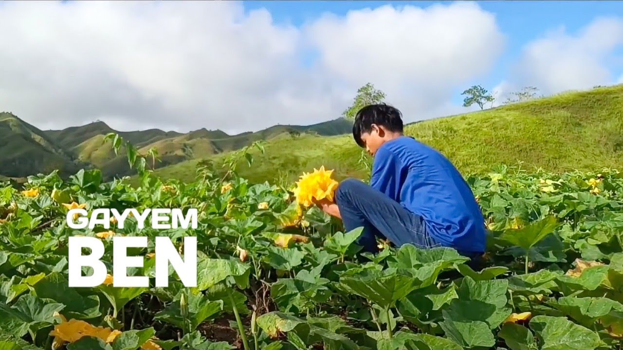 Squash flowers recipe you should try | Dinengdeng | Gayyem Ben - YouTube