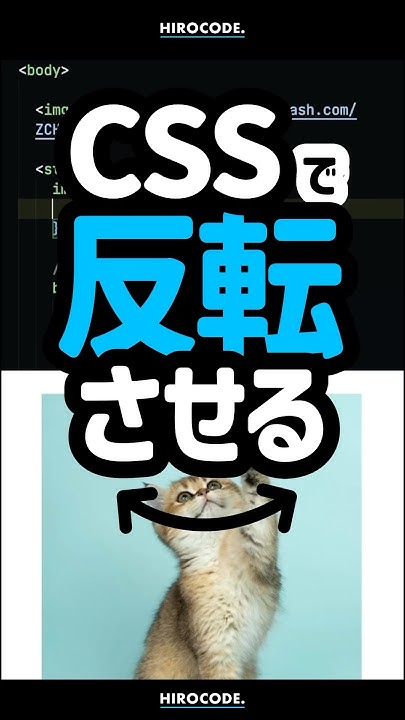 Cssで要素を反転させる方法 Shorts コーディング プログラミング Htmlcss Html Programming