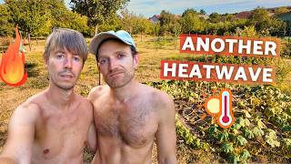 Our Garden Is Suffering (Extreme Drought & Heat) | Gay Homesteaders in Central Europe