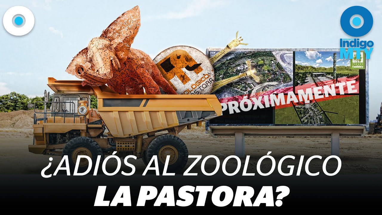 El incierto futuro del zoológico de La Pastora | Indigo MTY - YouTube