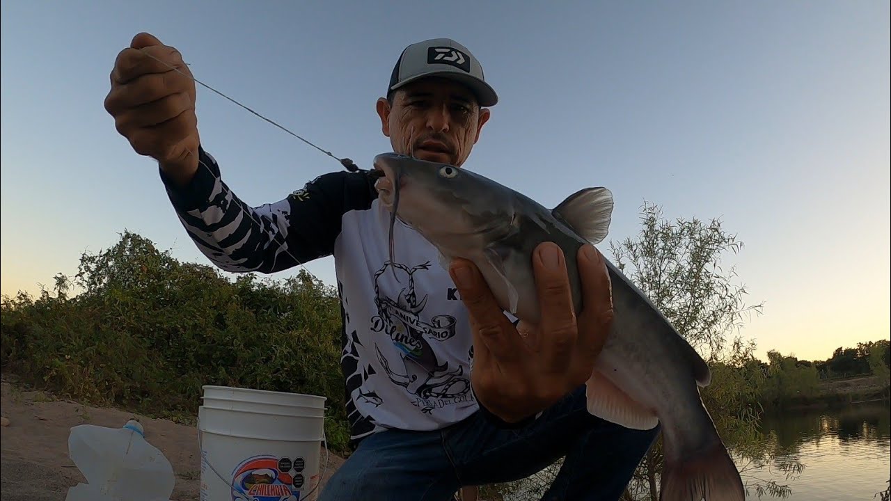 Exelente pesca de Tarde En el Río Baluarte del Recodo Rosario Sinaloa ...