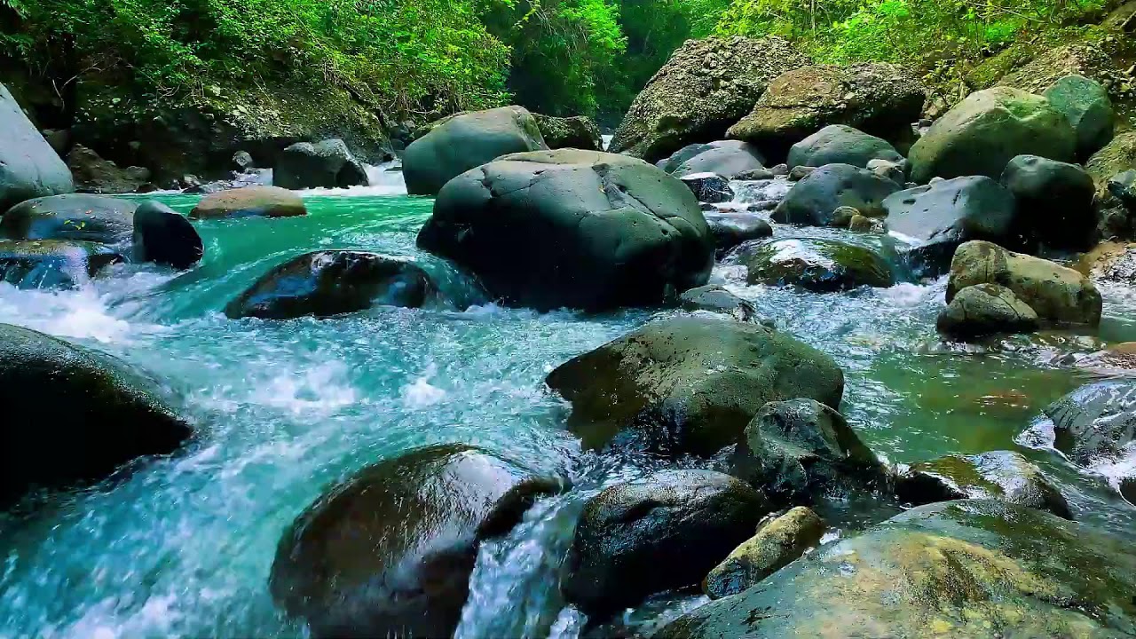 Beautifull Forest River Relaxing water sound, Nature sounds white noise ...