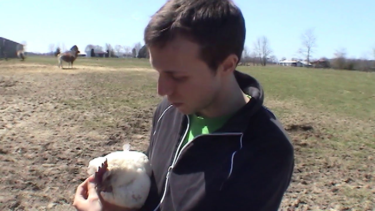 Founder Milo Runkle Opens up About His First Open Rescues - YouTube