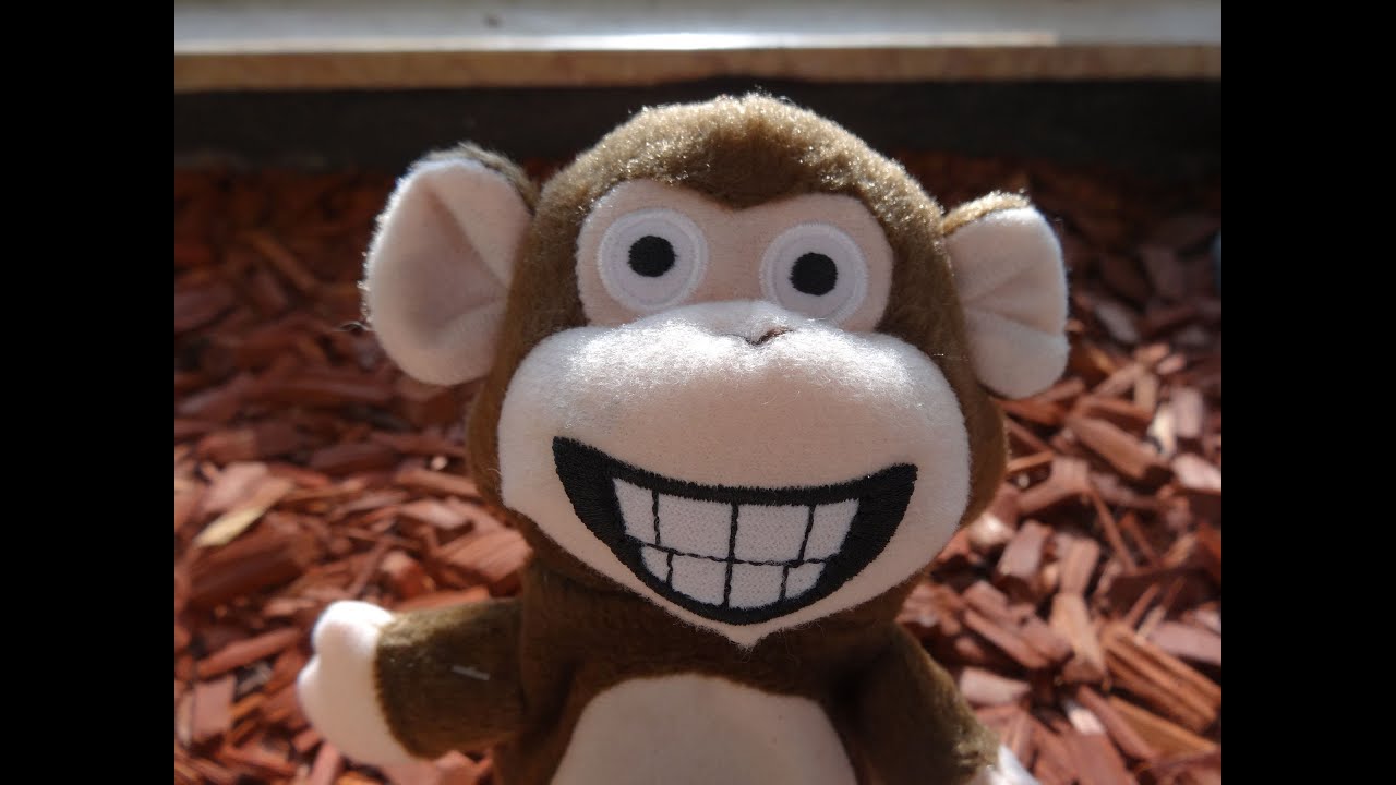 "CHITTER CHATTER - SPRECHENDER AFFE / TALKING MONKEY" -Vorstellung ...