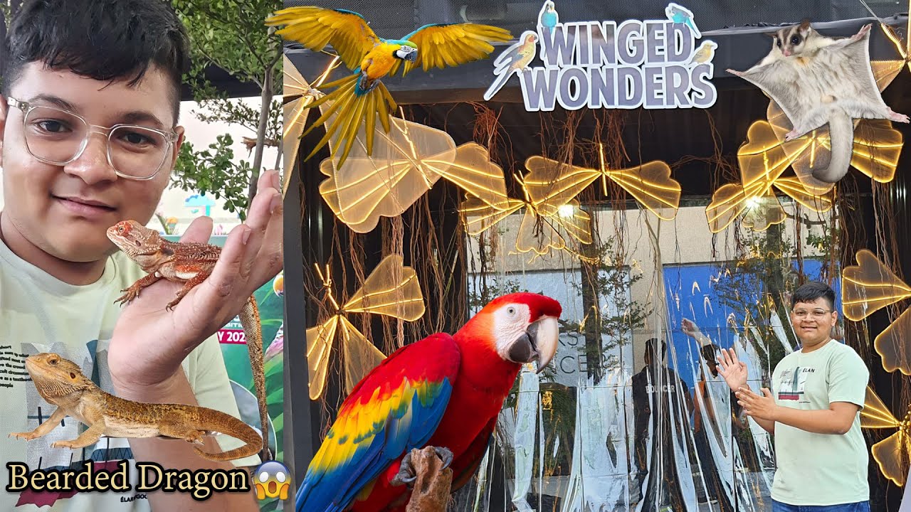 Biggest Exotic Birds Exhibition At Vr Mall😱| ExoticBirdsExhibition ...