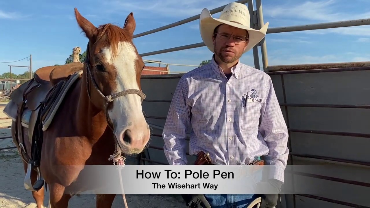 How To: Pole Pen - YouTube