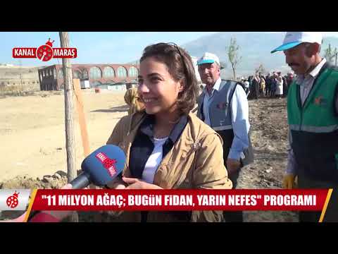 Kahramanmaraş'ta fidan dikme seferberliğine büyük destek