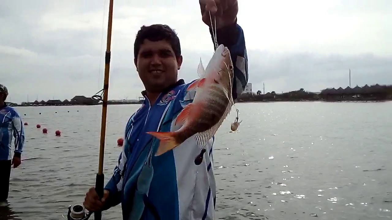 PESCA CON CAMARÓN MUERTO -PARGO Y MORENA parte 2 - YouTube