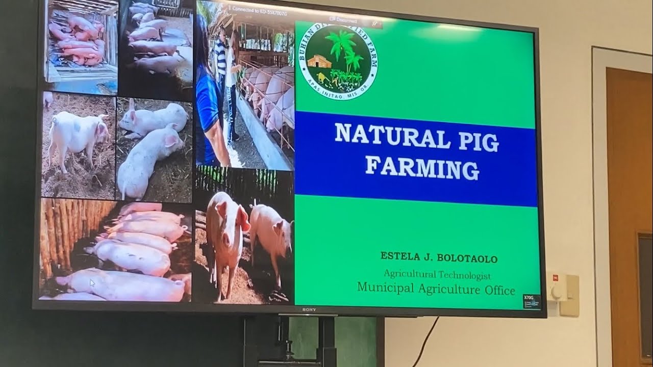 Piggery Business Natural Pig Farming Seminar Workshop (Bisaya/Cebuano ...