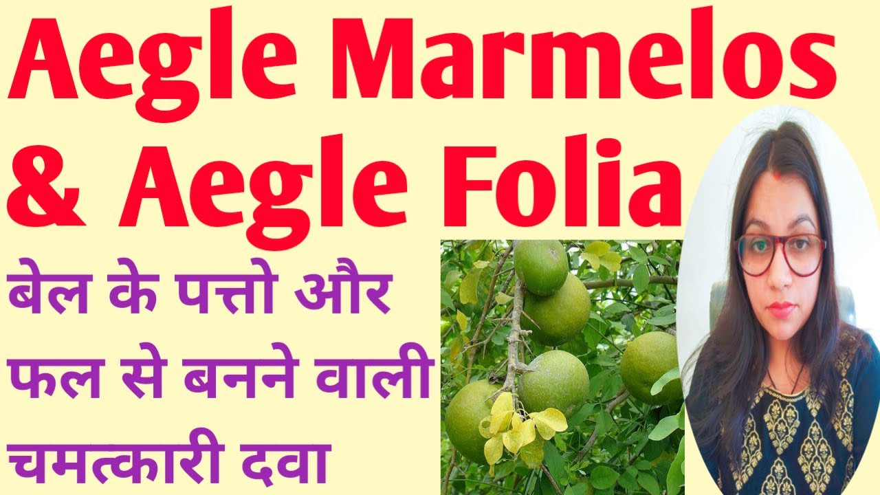 Aegle folia | Aegle folia Q Uses | Aegle folia Homeopathic Medicine ...