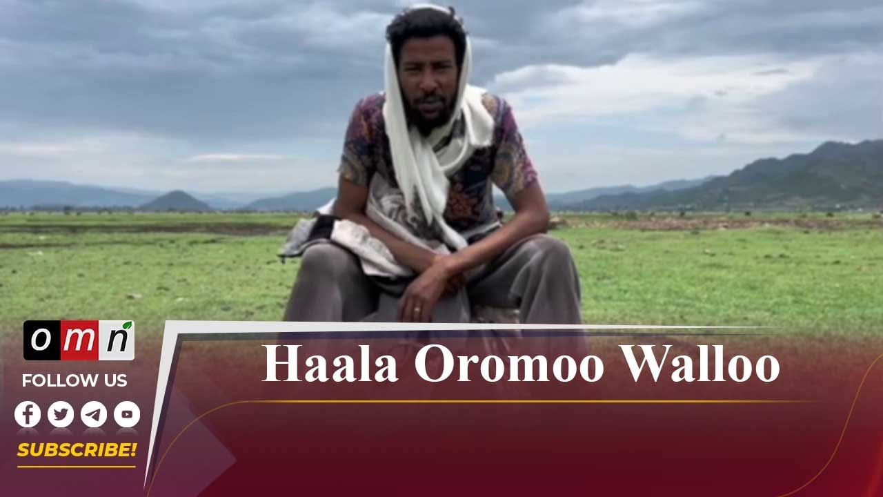 Haala Oromoo Walloo - YouTube