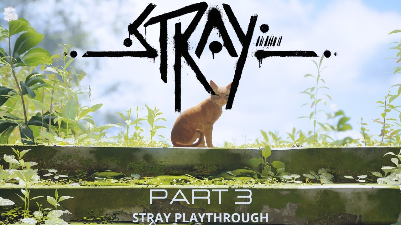 Stray | First playthrough Part 3 | PS5 GAMER - YouTube