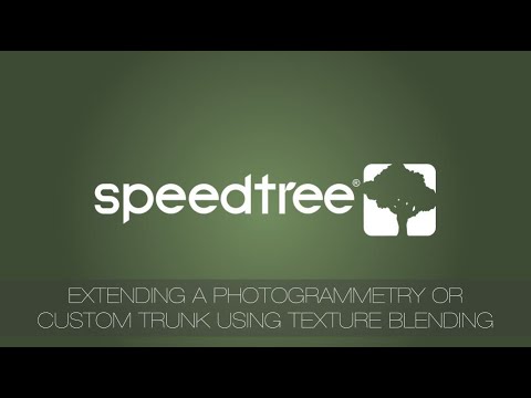 SpeedTree 8.2: Extending a Photogrammetry or Custom Trunk Using Texture ...