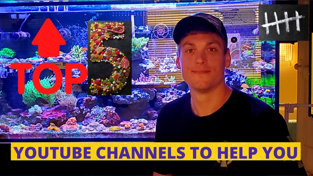 Top 5 YouTube Channels to help your Reef Tank - YouTube