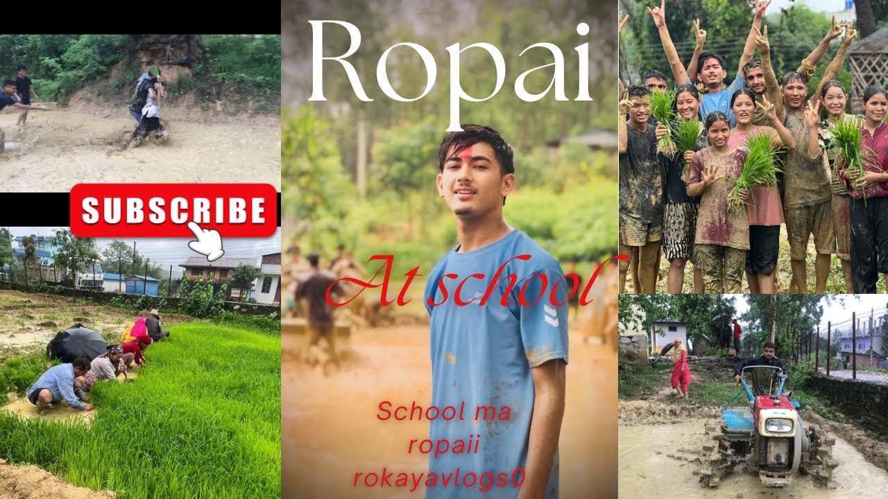 DHAN ROPAI IN SCHOOL || Rokayavlogs0 || Nesnal Rokaya - YouTube