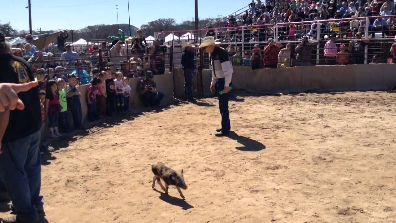 Rhett at Wild hog explosion - YouTube