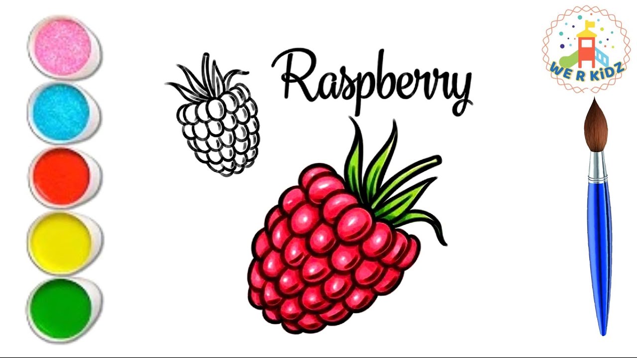 How to Draw Raspberry || Fruits || Learning Video || Coloring & Drawing ...