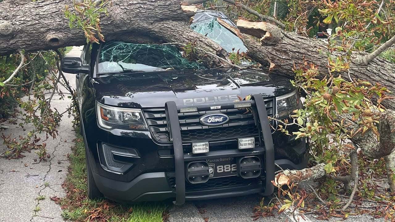 Tree crushes cop car on South Shore as Lee churned in Atlantic - YouTube