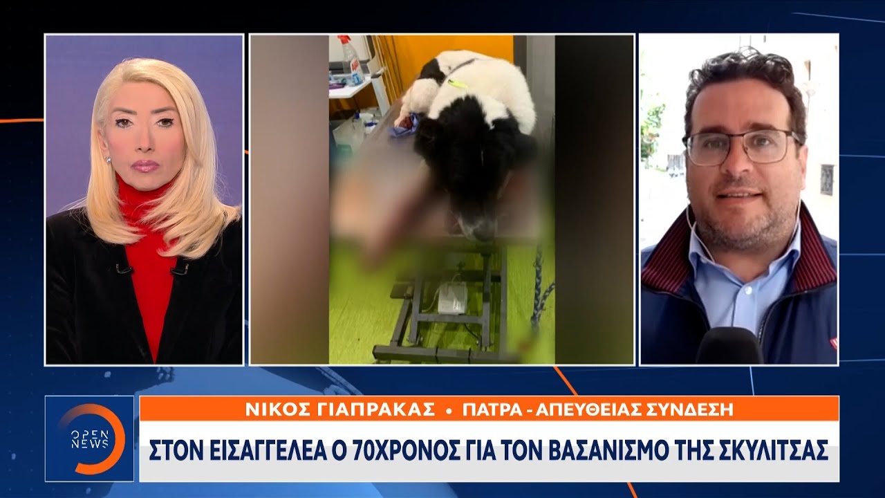 Στον εισαγγελέα ο 70χρονος για τον βασανισμό της σκυλίτσας ...