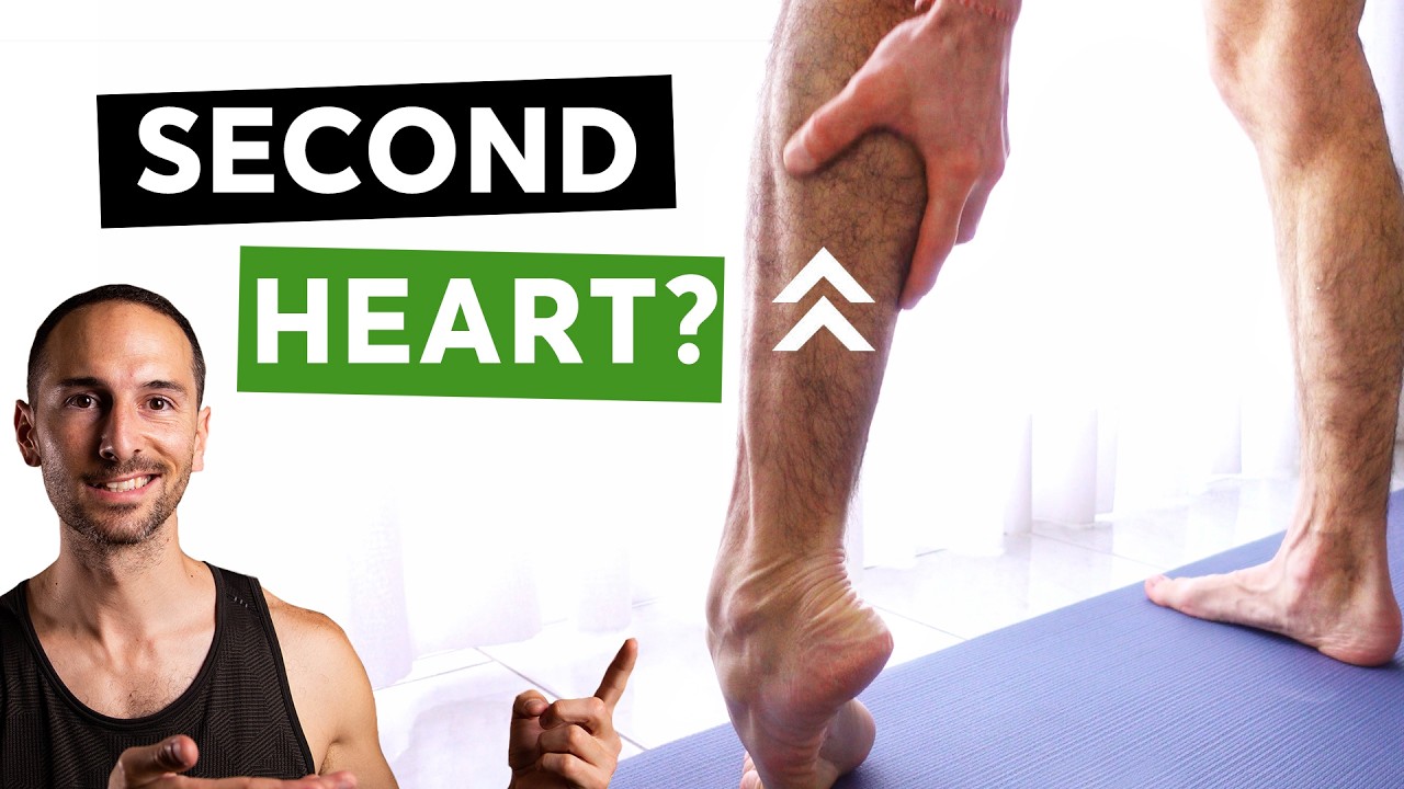 Your Calves Are Your Second Heart (Most People Miss This) - YouTube