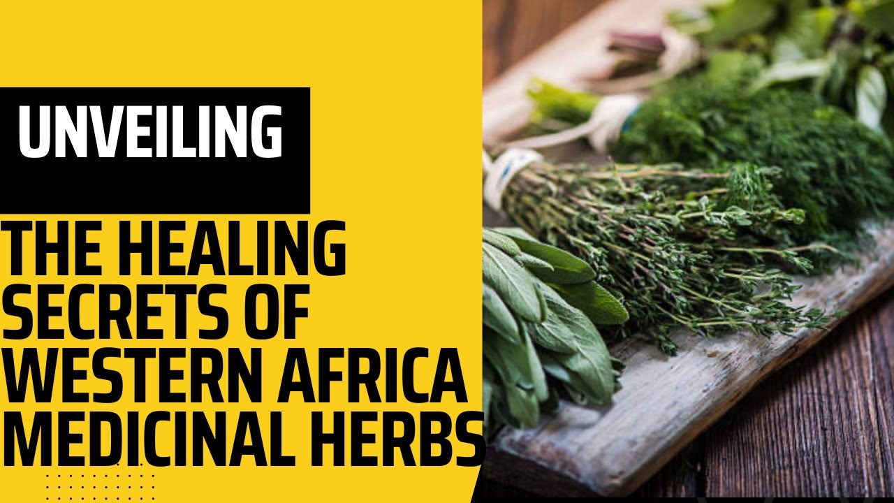Unveiling the Healing Secrets of Western African Medicinal Herbs - YouTube