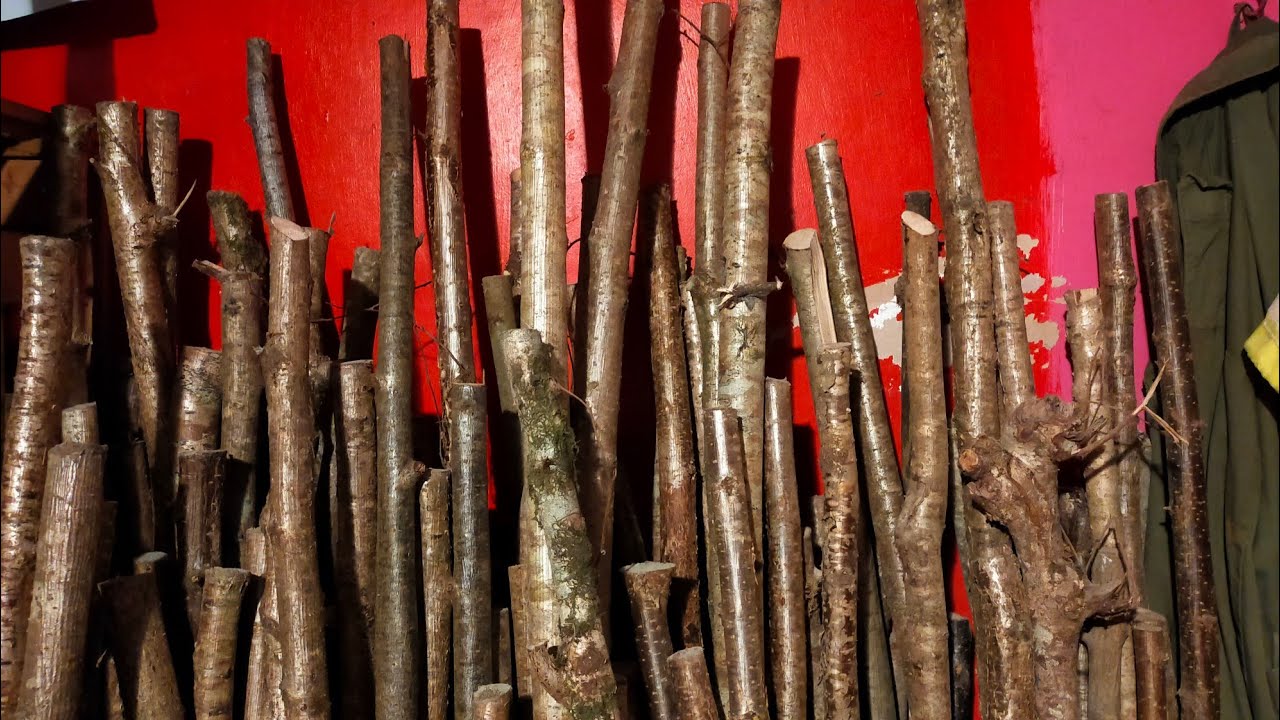 How I store and rack my Hiking stick Harvest. The most important thing ...