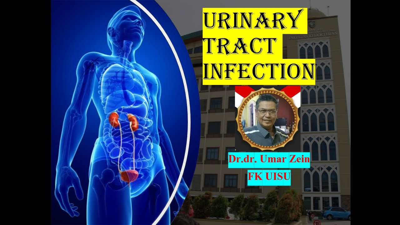 INFEKSI SALURAN KEMIH | Dr.dr. Umar Zein | FK UISU Medan - YouTube