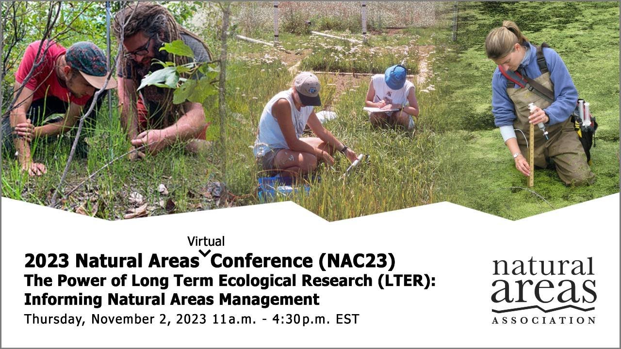 Long-Term Research Reveals 20 Million Acres of US Croplands Ripe for ...