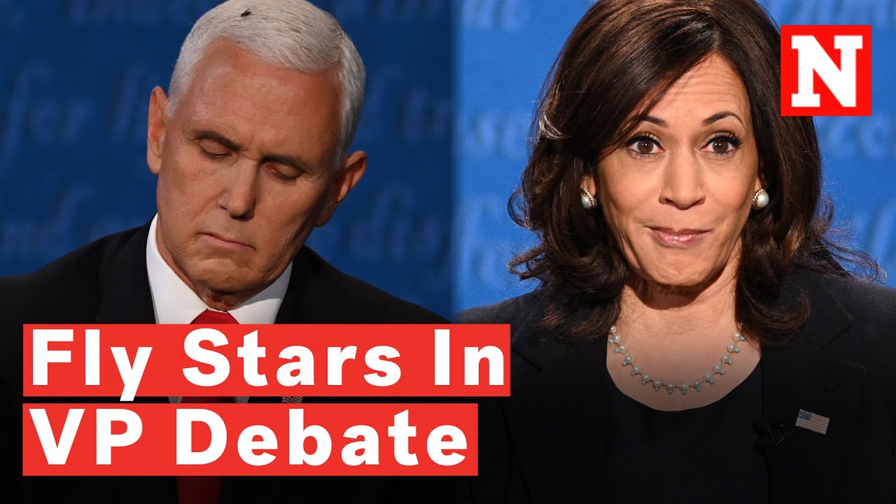 Vice Presidential Debate 2020 Highlights: Harris’ Many Faces, Fly On ...