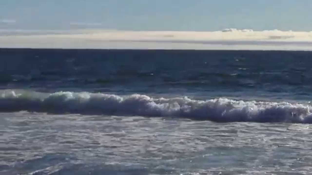 Dolphins swimming super fast and then jumping (part 1) - YouTube