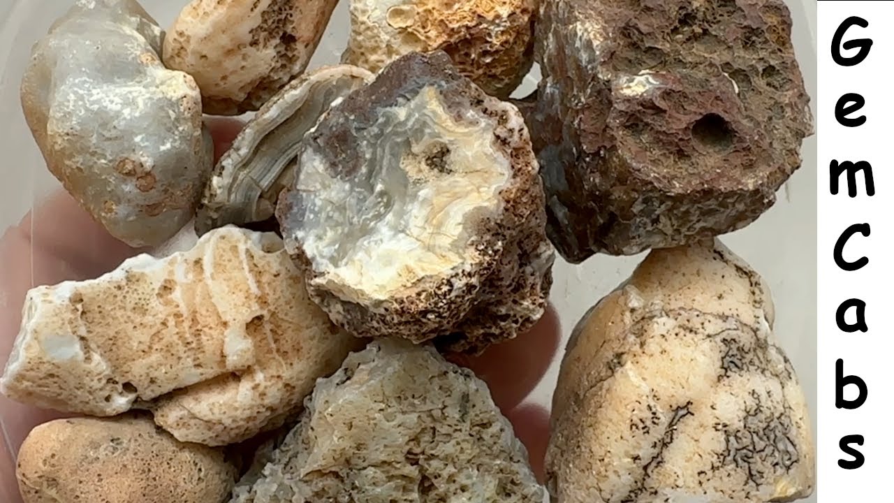Arizona Agates Cut Open to Reveal What is Hiding Inside 01 28 24 # ...