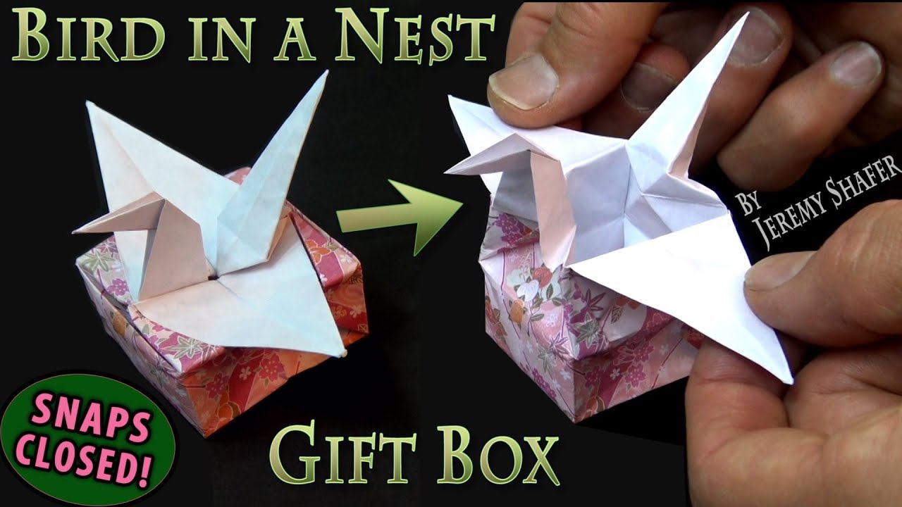 How To Make A Paper Bird Box New Kikkerland DIY Waxed Cardboard