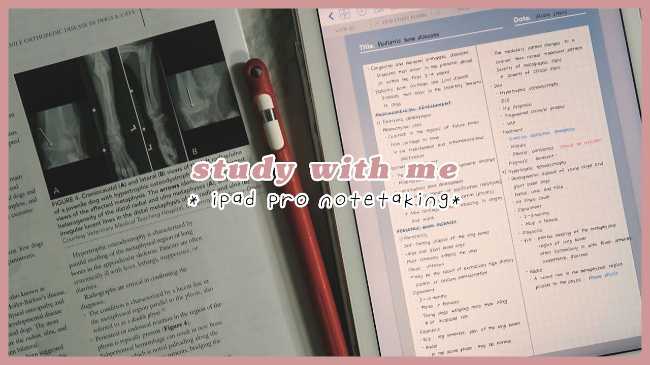 STUDY WITH ME : iPad pro & GoodNotes | notetaking time lapse | 아이패드 공부 ...