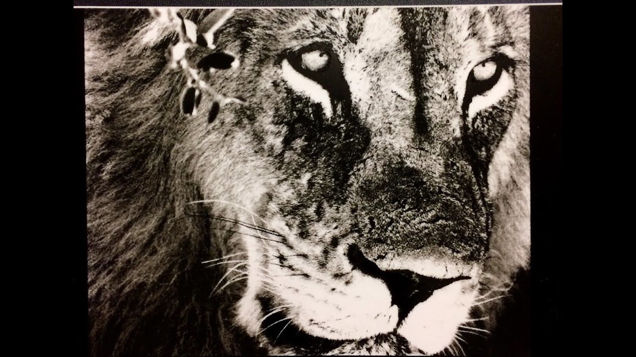 Gravostyle Photolase software - Quick Demo - YouTube