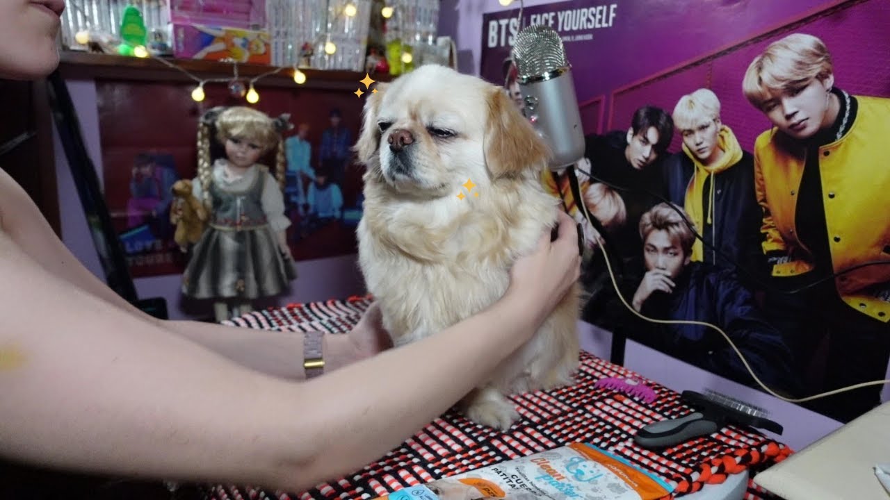 ASMR | Vamos a mimir con Cuqui 😴 - YouTube