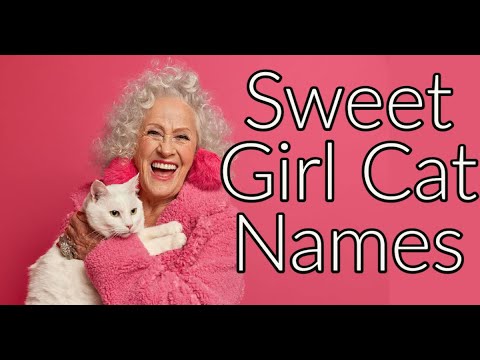 10 Fun And Unique Girl Cat Names - YouTube