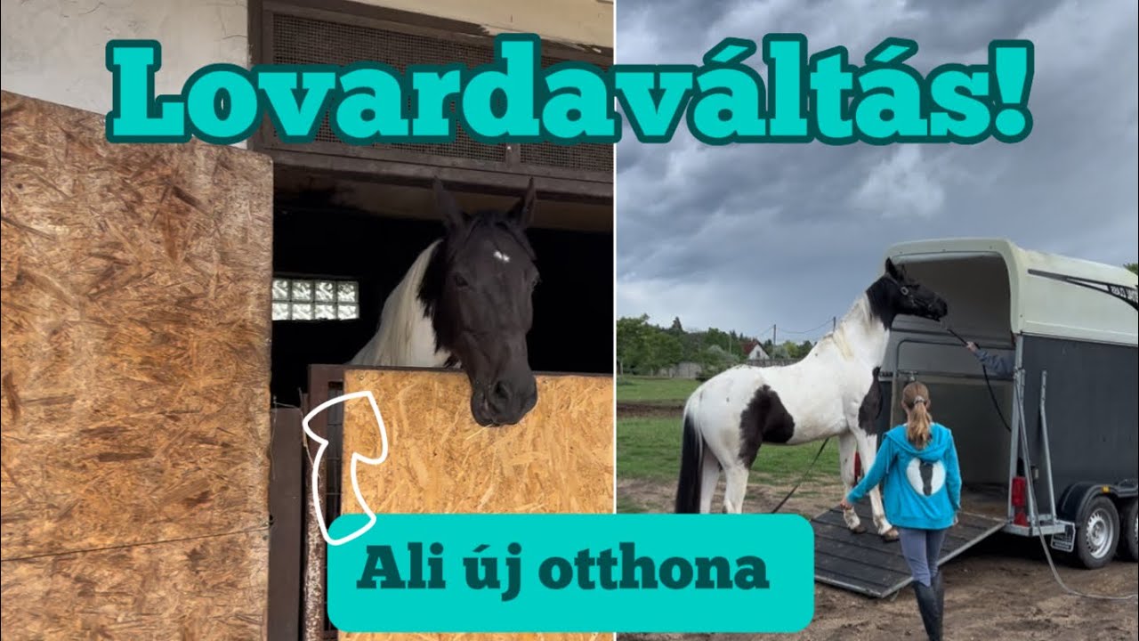 Lovardaváltás! | 𝐻𝐴𝑙𝑖 - YouTube