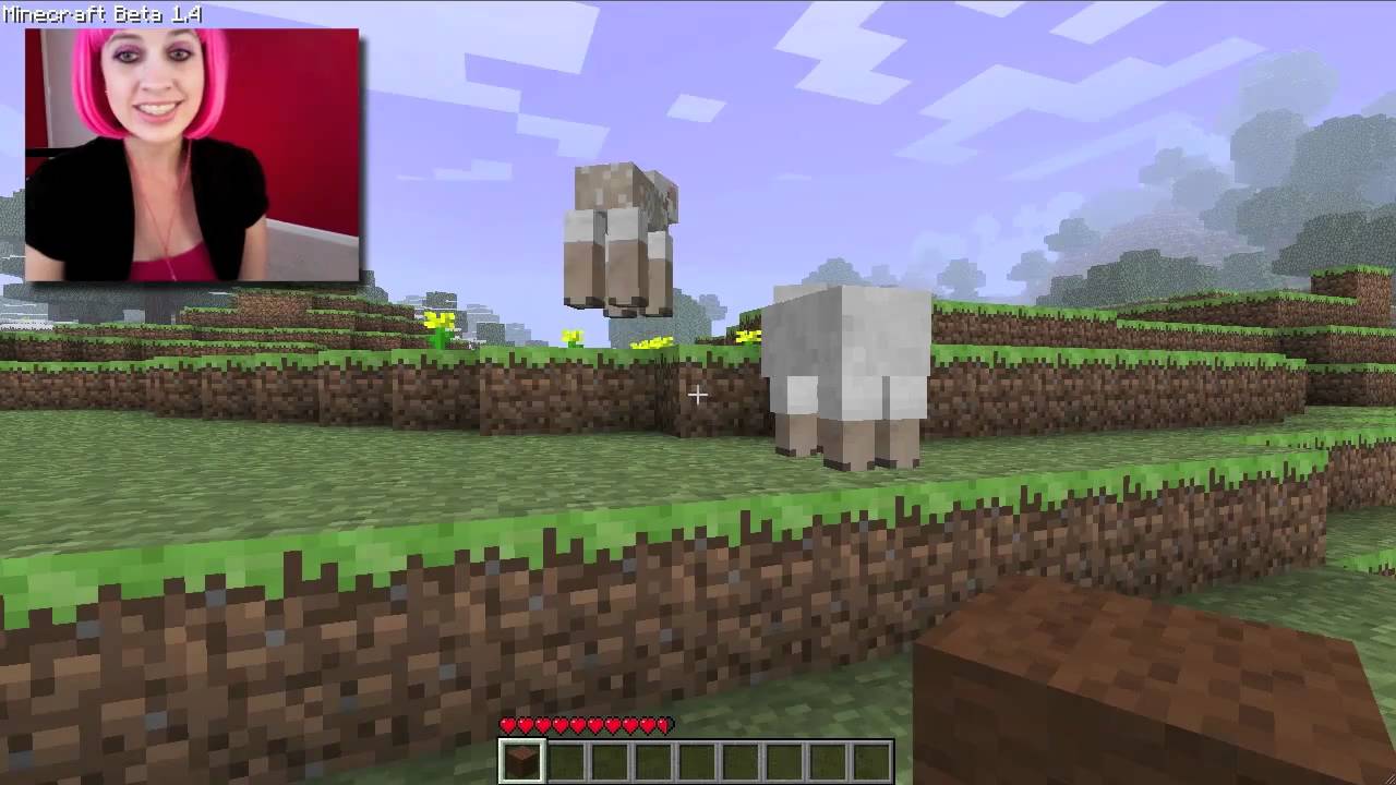 [Beta 1.4 Minecraft Wolf? Poop Block?] - YouTube