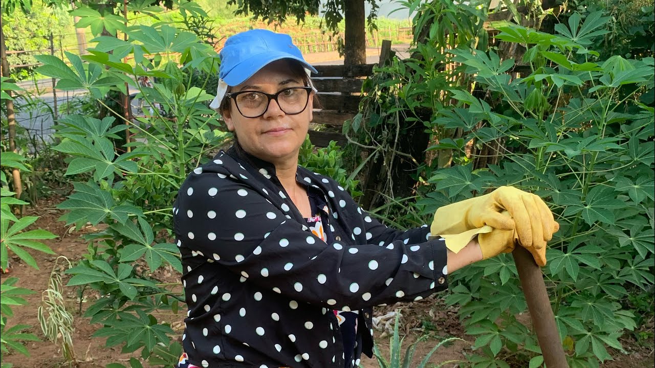 Conheça a História do meu Recanto! - YouTube