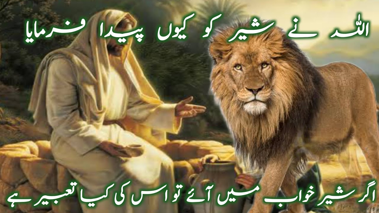 Allah Ne Sher Ko Kyu Paida Kiya| The Incident Of The Tiger | Sher Ka ...