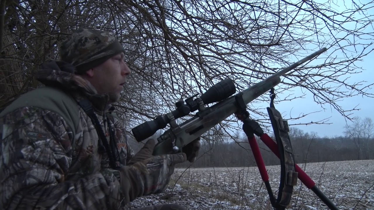 Hoosier Coyotes! - Predator Hunting with ICOtec - YouTube