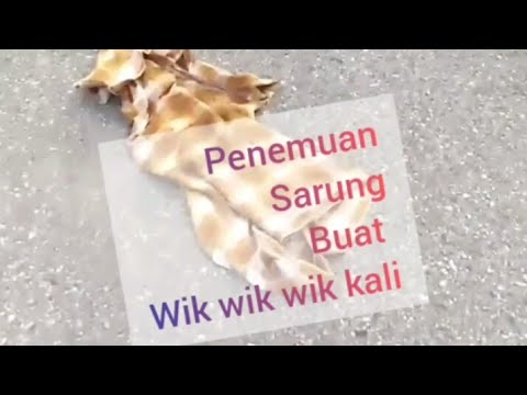 Penemuan sarung buat wik wik wik #saat latihan
